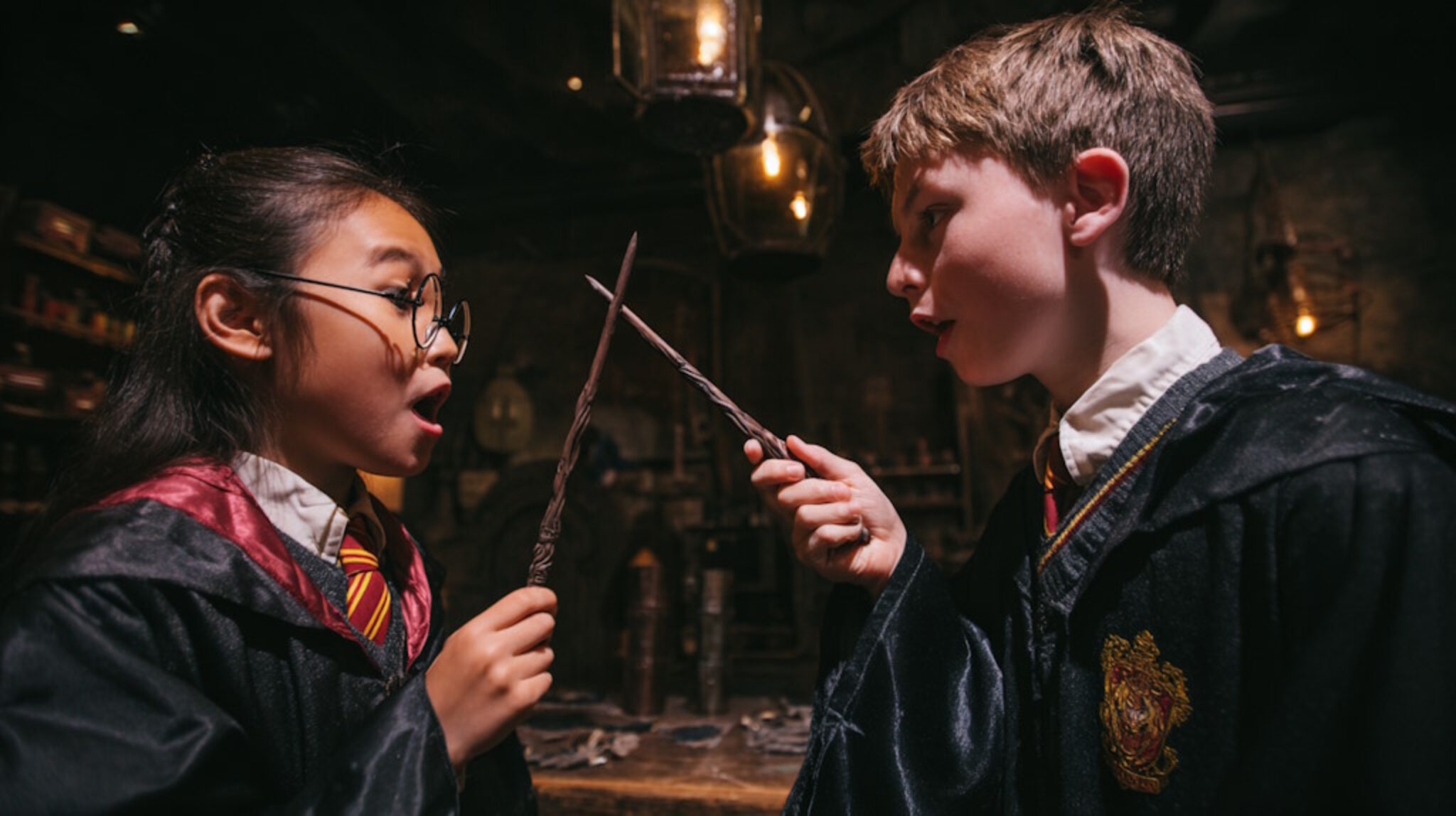 Hogwarts Sorting Ceremony for Harry Potter Party - Sew Homegrown