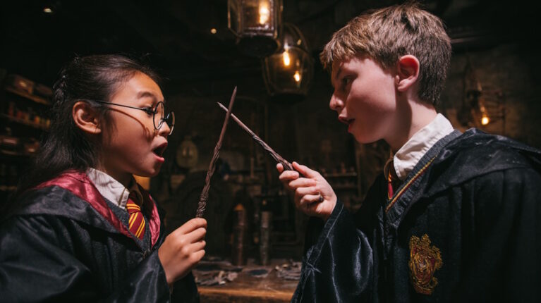 Harry Potter Party Games and Activities: Magical Fun for Wizards and ...